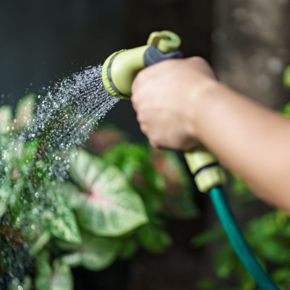 Rainwater Reuse Systems - Professional Design & Installation